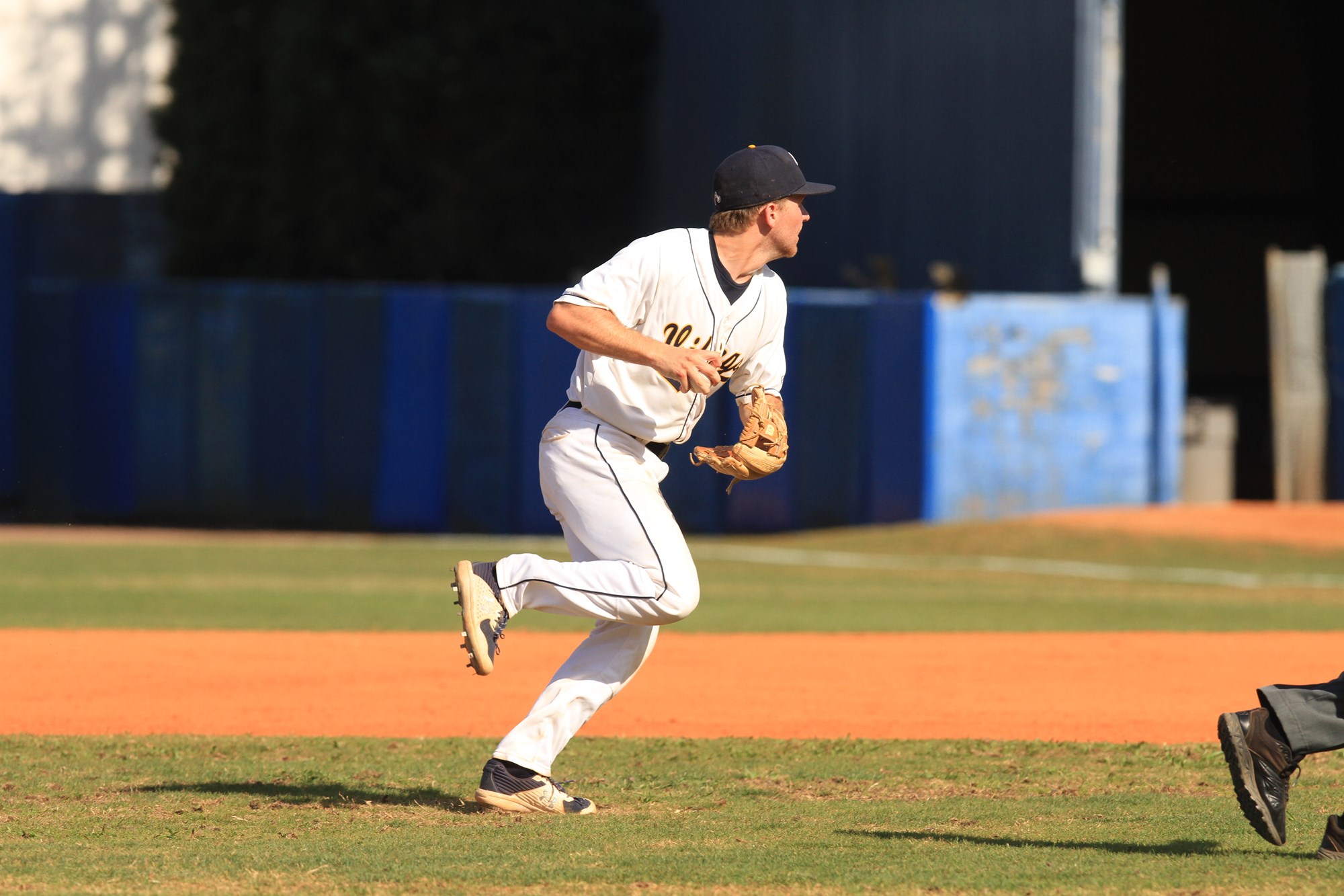 Alec McGinnis - Baseball - Augustana College Athletics