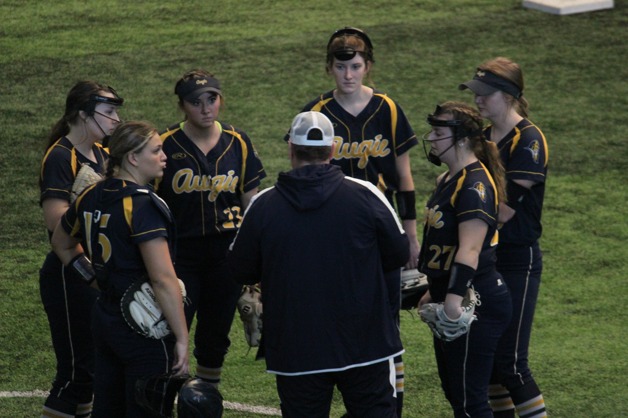Softball splits doubleheader at St. Ambrose - Augustana College Athletics