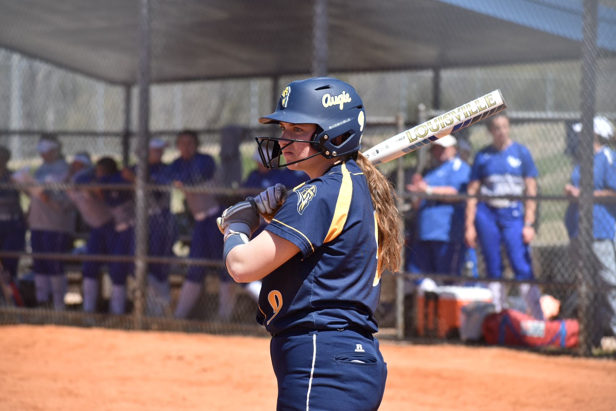 Softball picks up two wins over Eureka - Augustana College Athletics