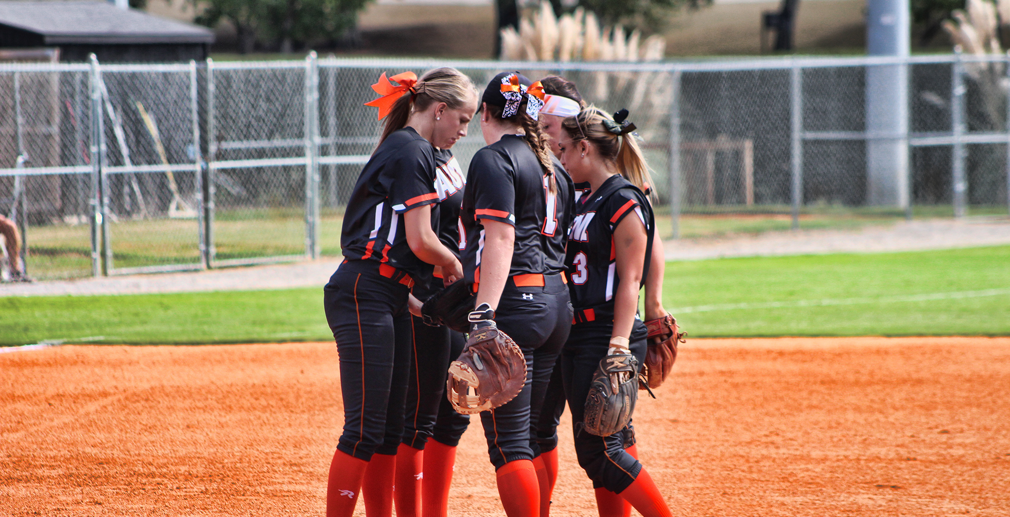 Early Production Leads Softball Over Anderson - Auburn University at ...