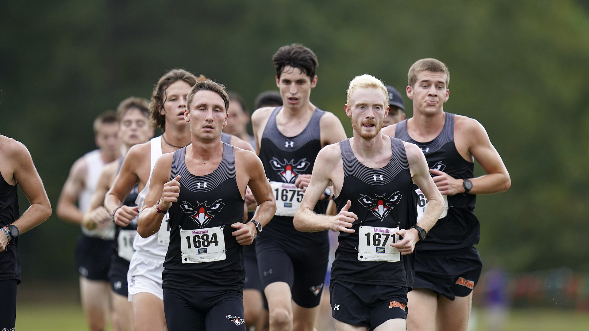 Austin Atkinson - Men's XC - Auburn University at Montgomery Athletics