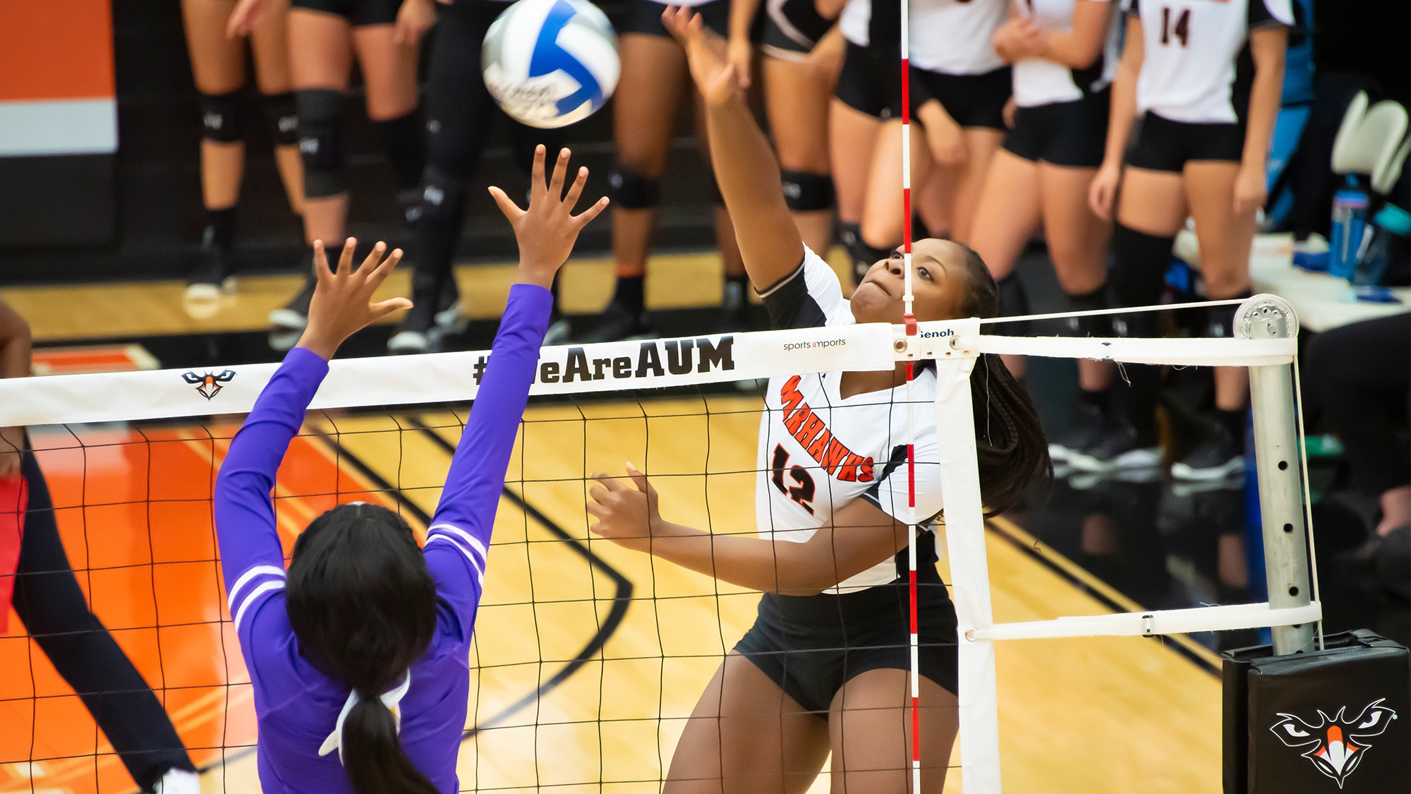 Ruth Sconocchini - Volleyball - Auburn University at Montgomery Athletics