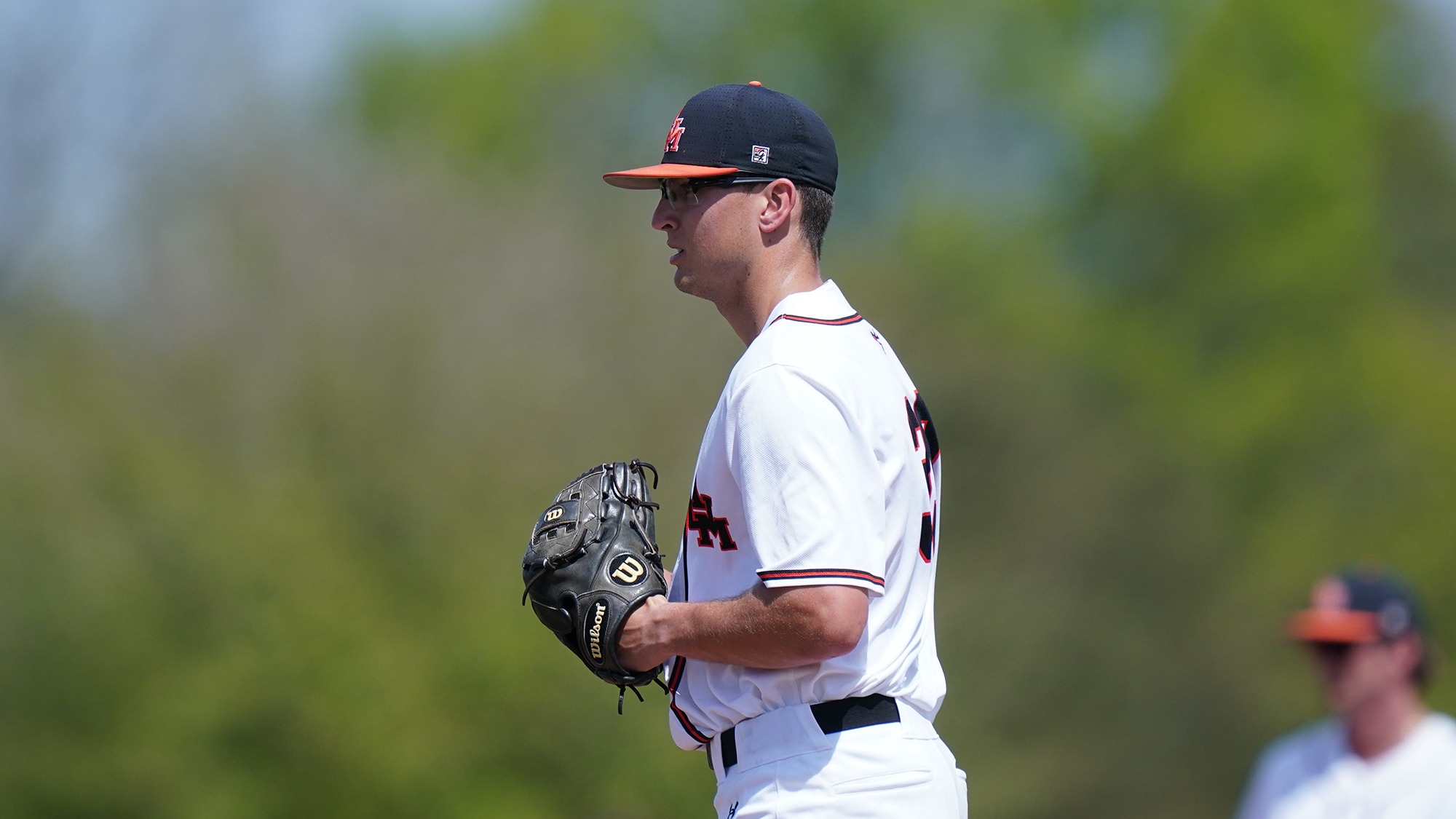 Baseball Warhawks Knock off No. 25 Lee in Series Finale - Auburn ...