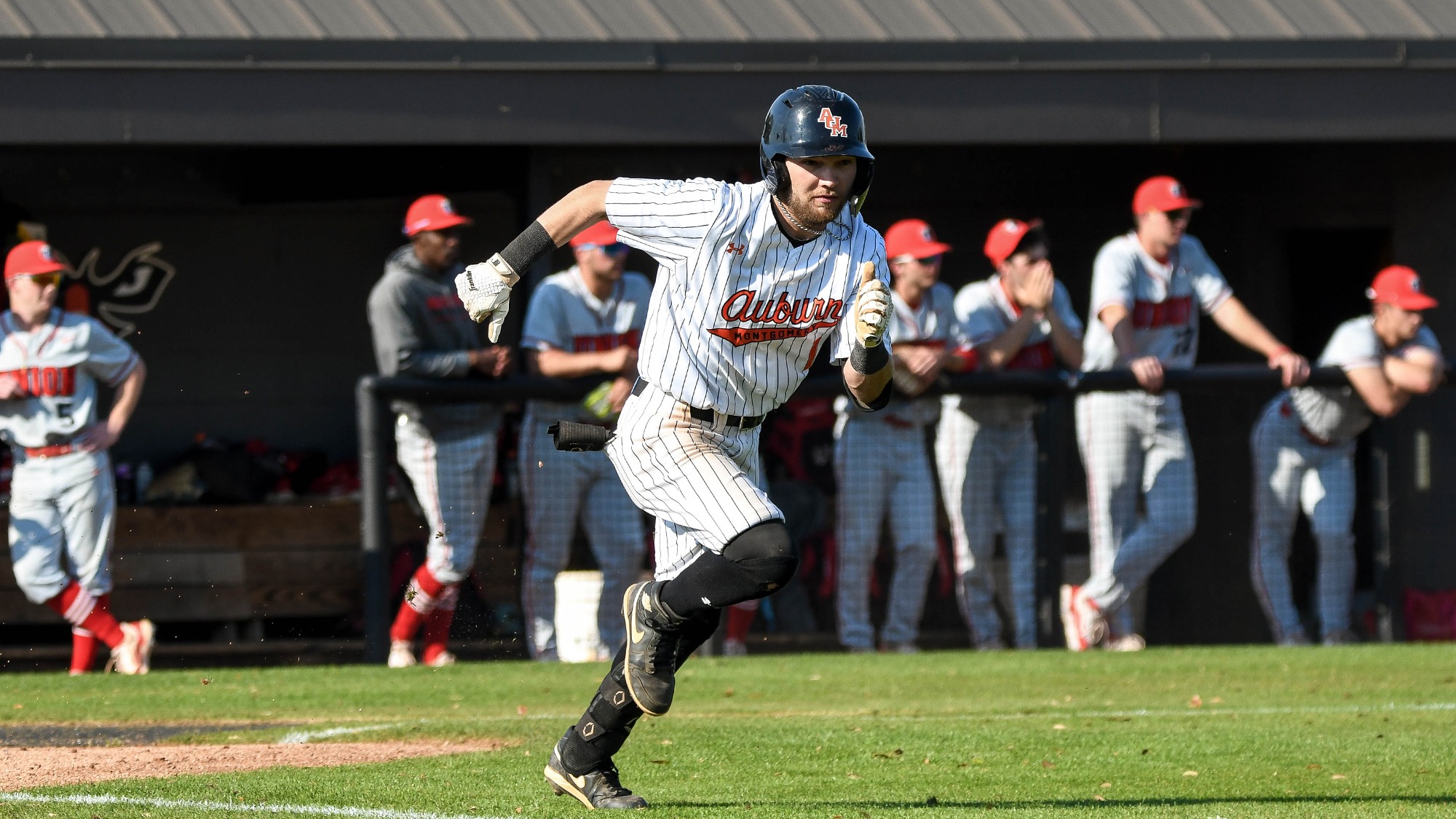 Jackson Ceman - Baseball - Auburn University at Montgomery Athletics
