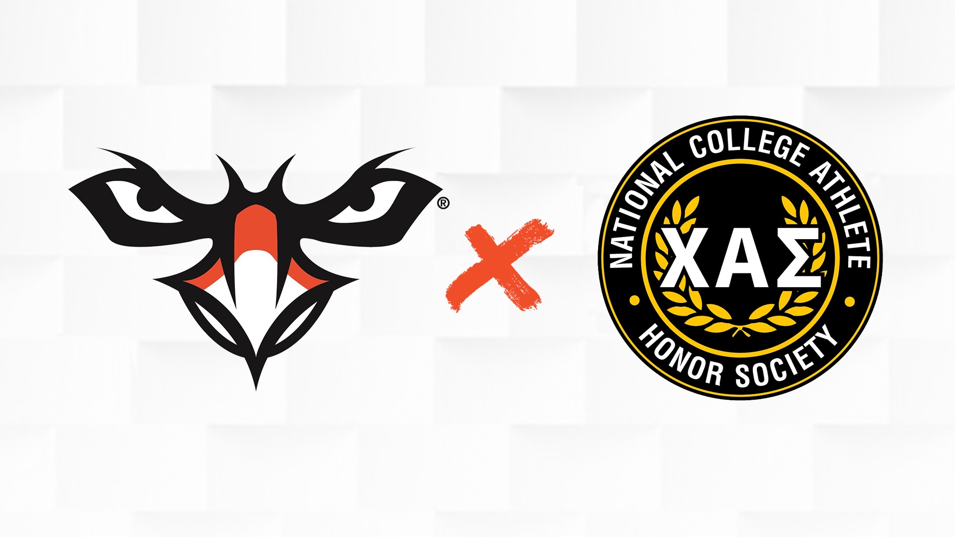 AUM Inducts Inaugural Chi Alpha Sigma National College Athlete Honor ...