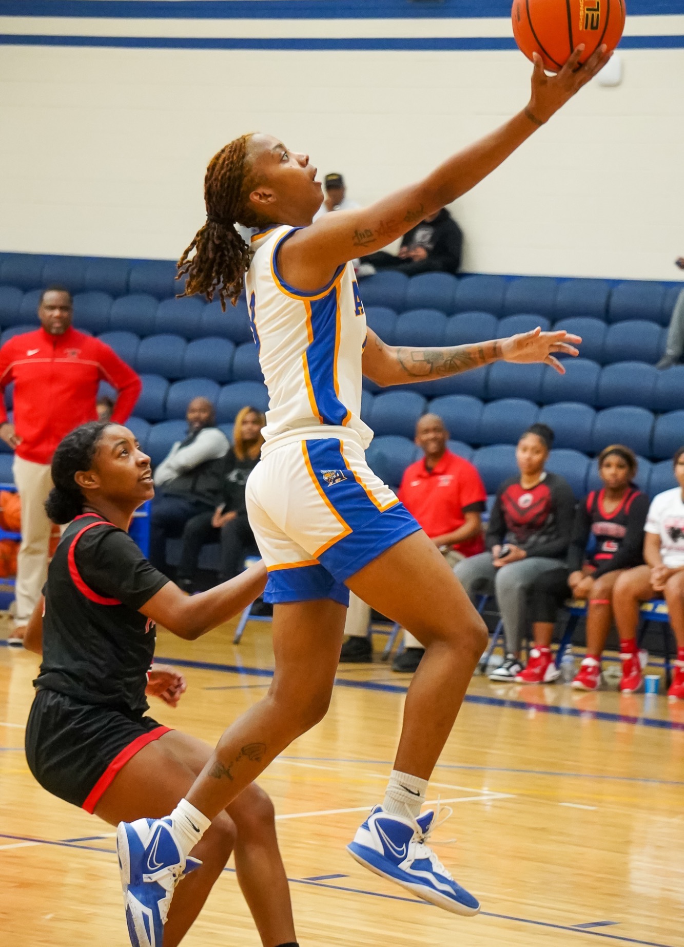 Destinee Jamison-Whitfield - 2023-24 - Women's Basketball - Allen ...