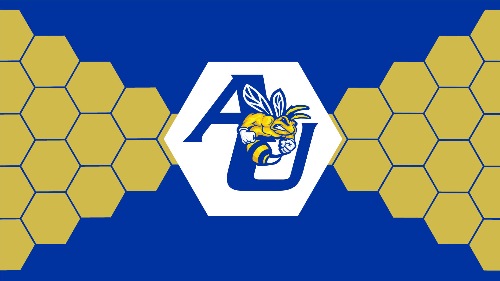 Phillip Wallace Jr. Named Director of Athletics at Allen University ...