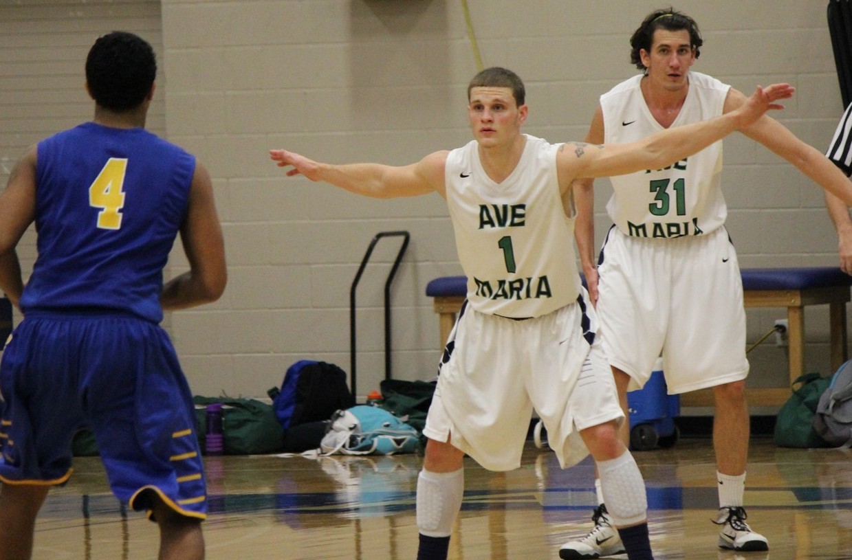 Matt Chattin - Men's Basketball - Ave Maria University Athletics