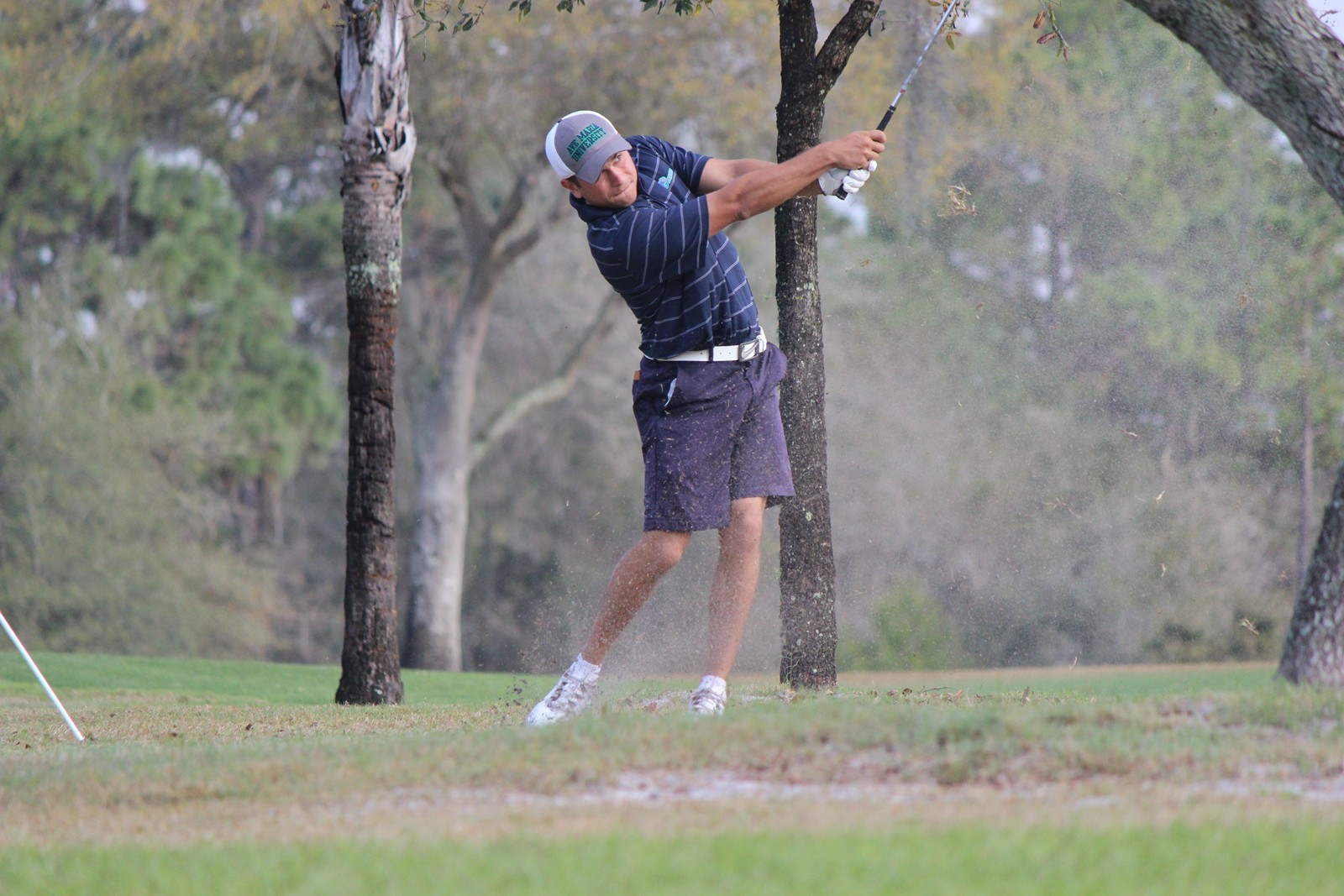 James Chillemi - Men's Golf - Ave Maria University Athletics