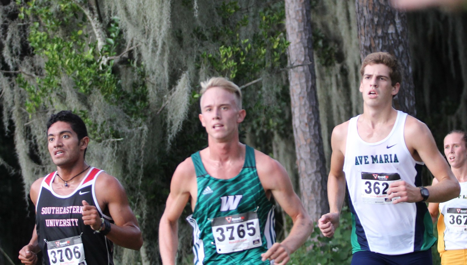 Thomas Mullally - Cross Country - Ave Maria University Athletics