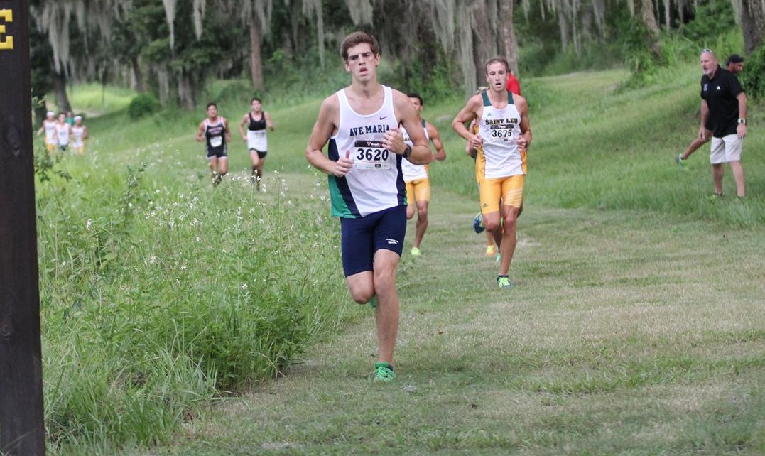 Thomas Mullally - Cross Country - Ave Maria University Athletics