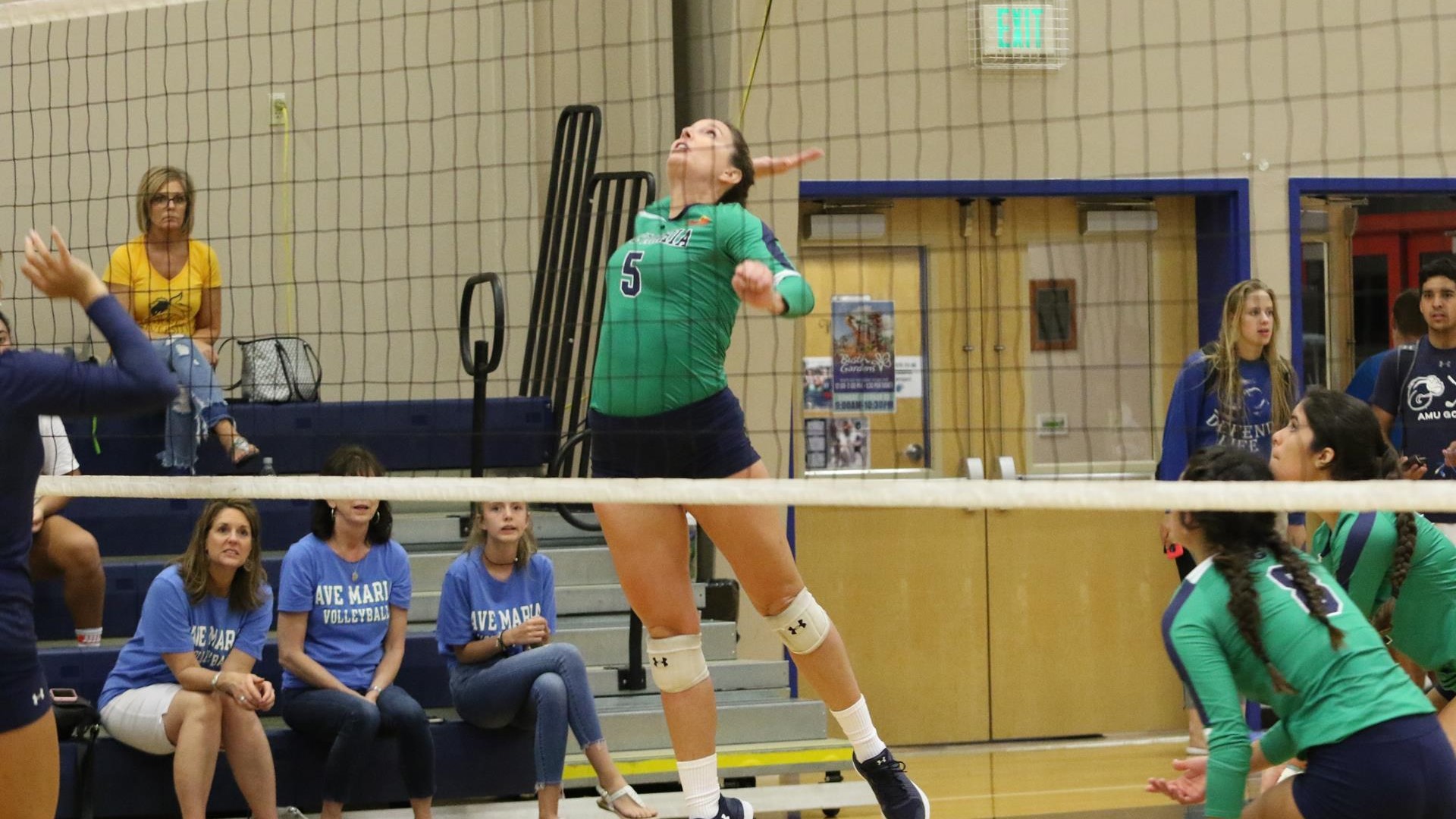 Lauren Ruby - Volleyball - Ave Maria University Athletics