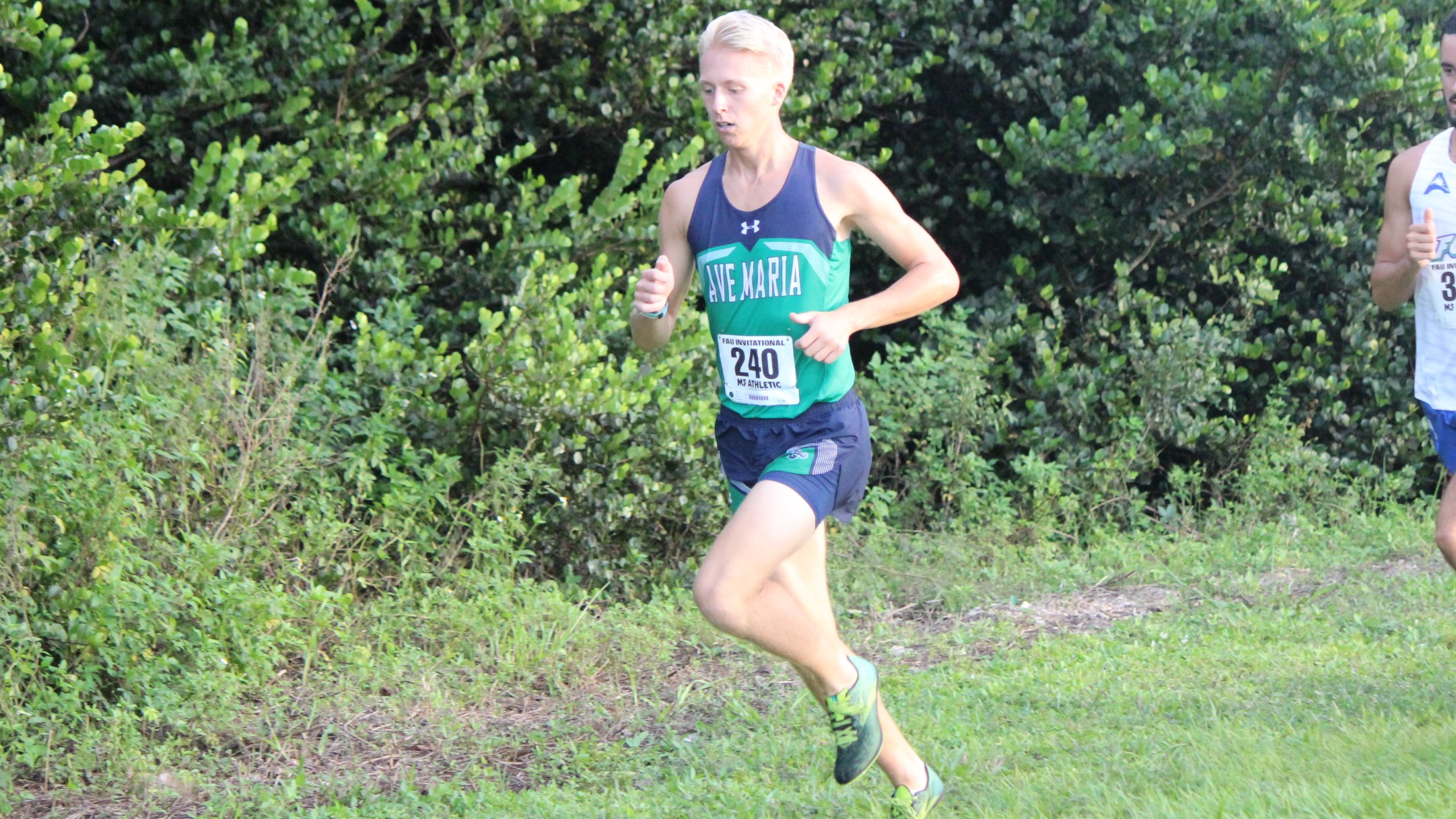 David Adamitis - Cross Country - Ave Maria University Athletics