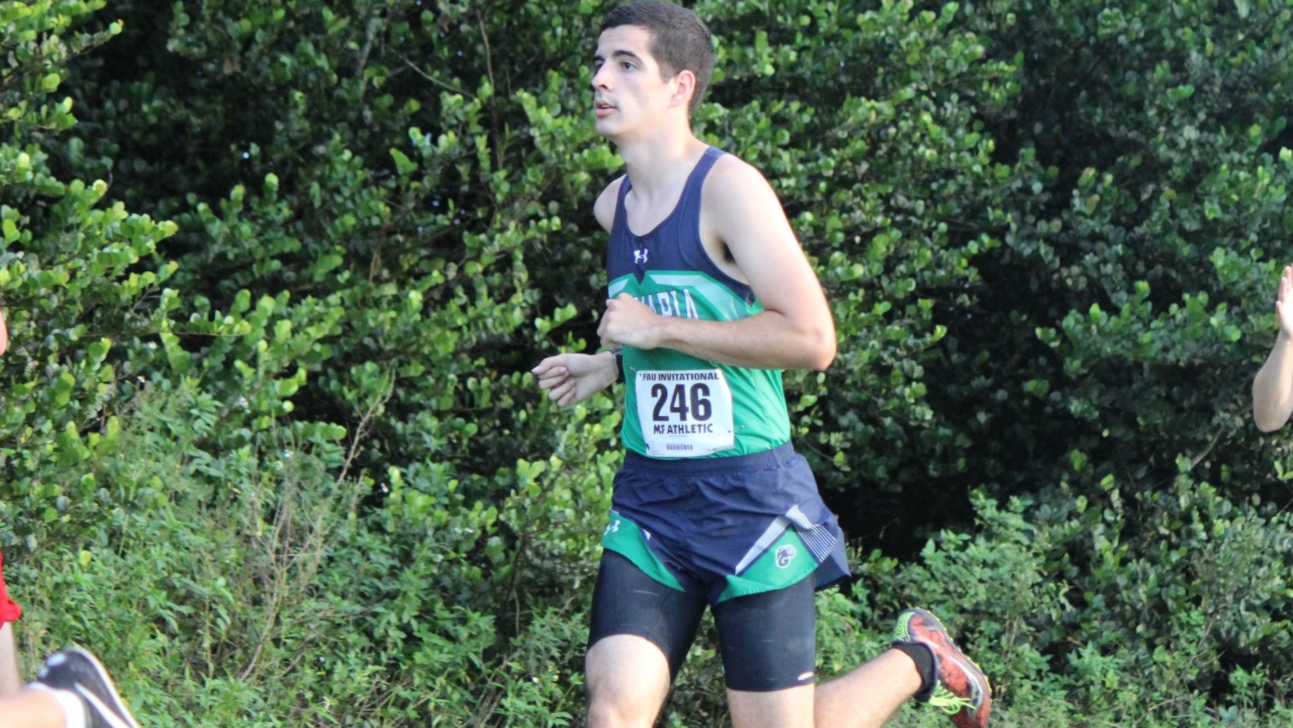 Joseph Mullally - Cross Country - Ave Maria University Athletics