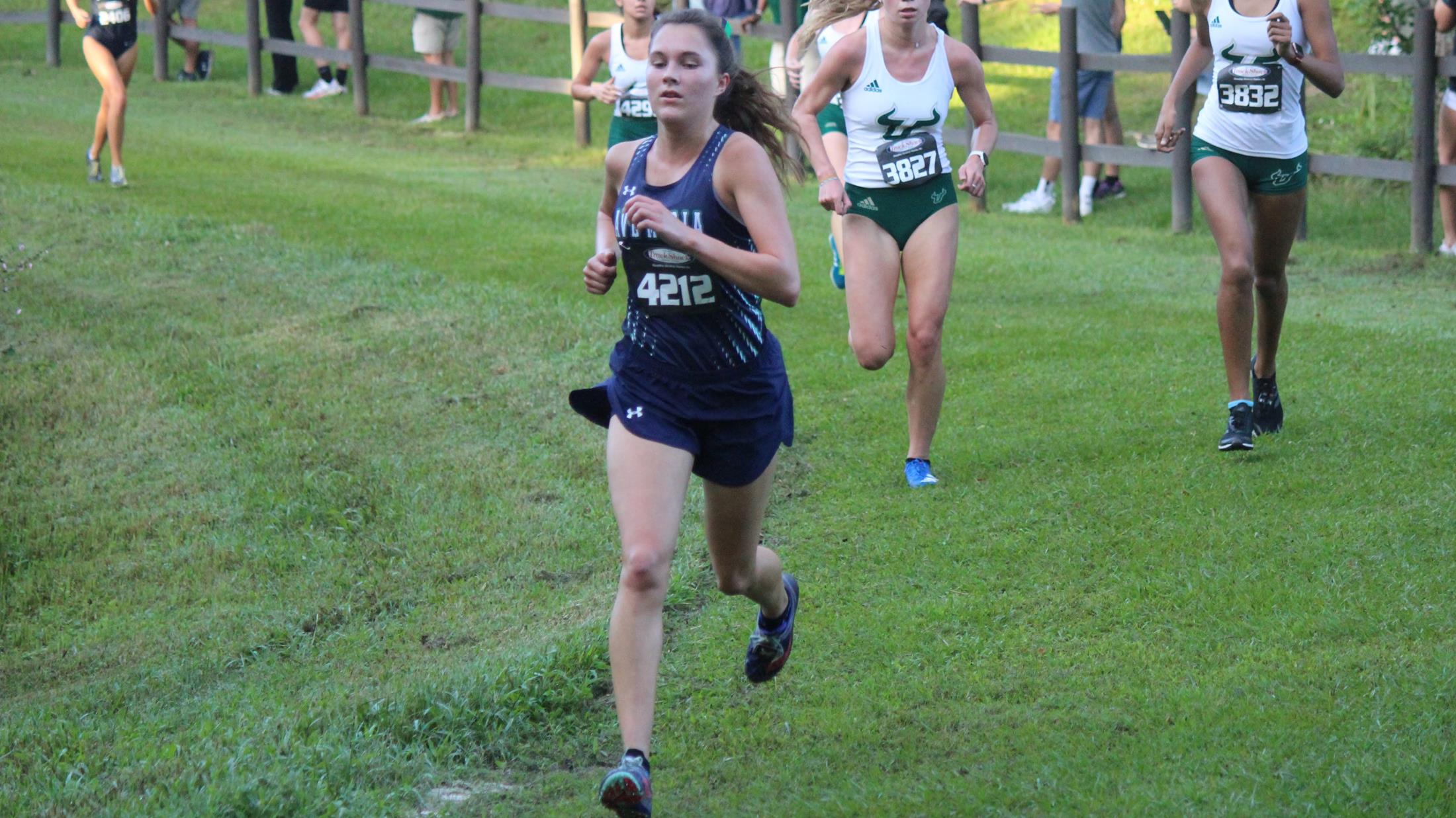 Theresa Long - Cross Country - Ave Maria University Athletics