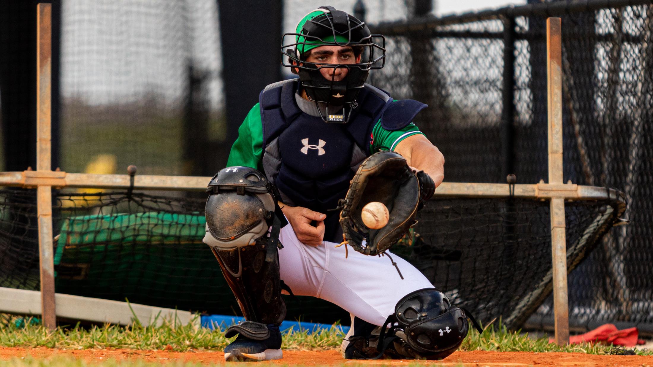 Michael Signorelli - Baseball - Ave Maria University Athletics