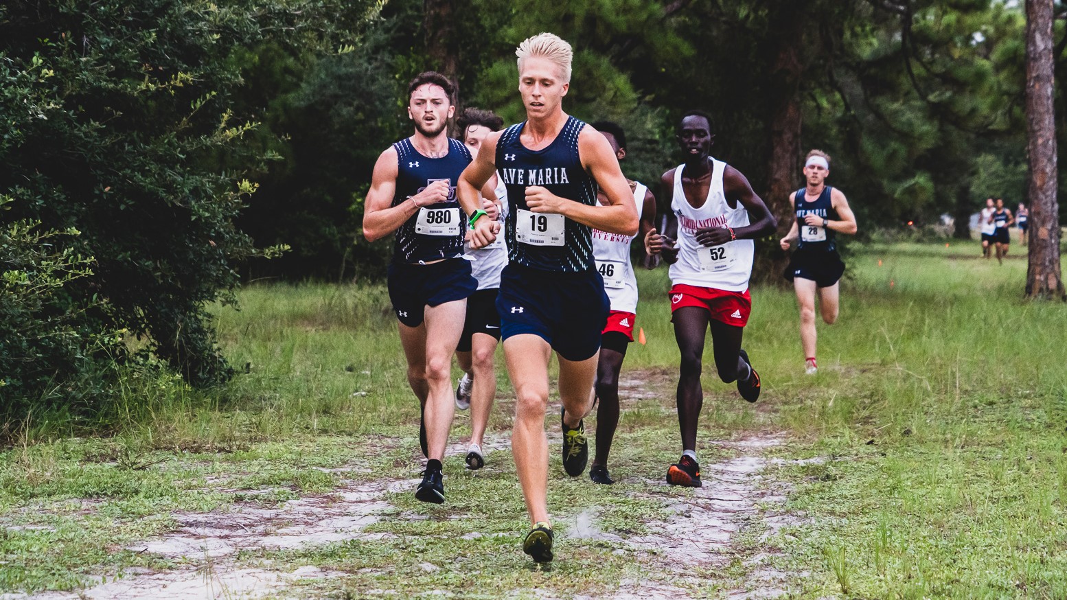 David Adamitis - Cross Country - Ave Maria University Athletics