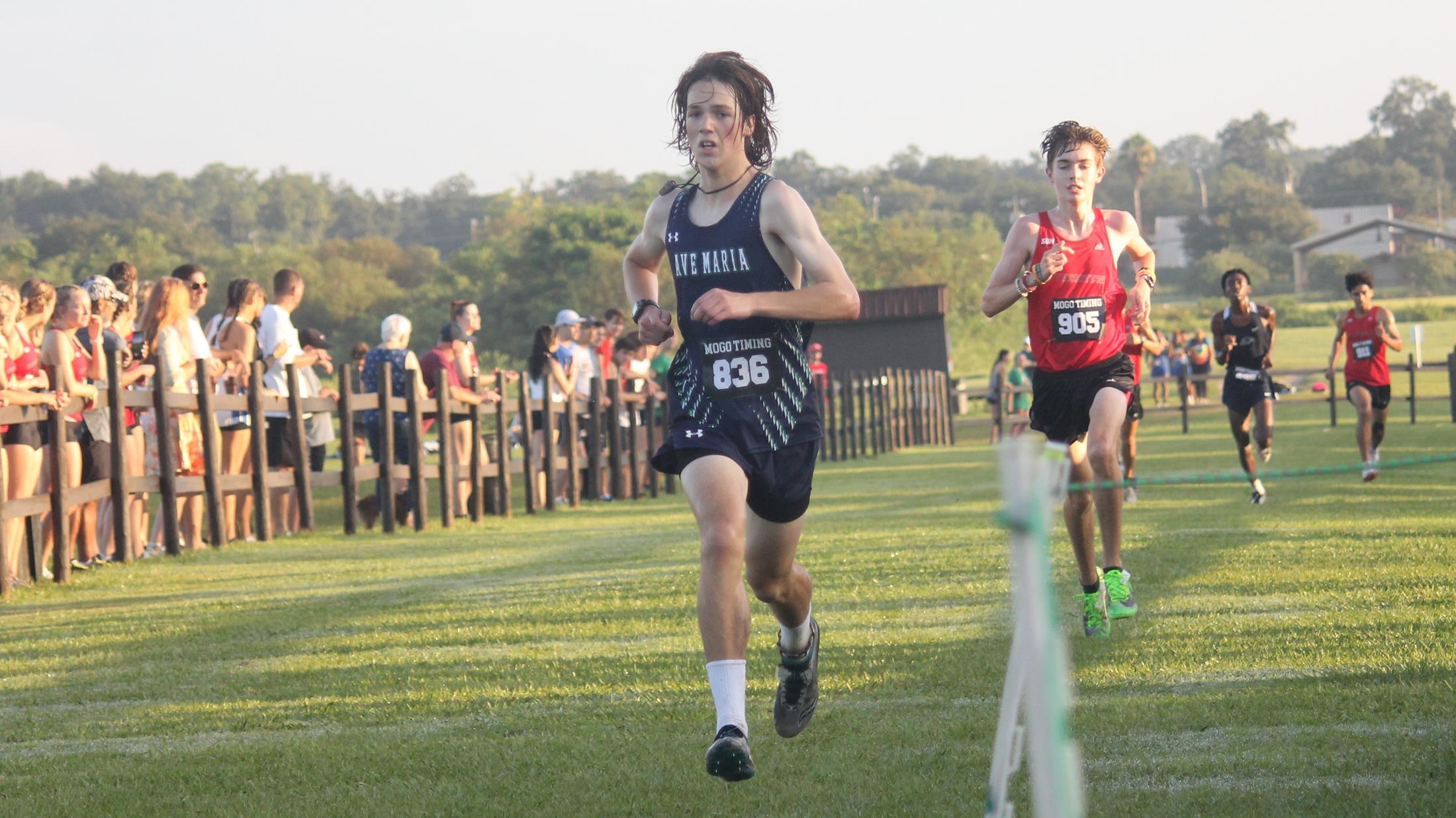 James Halvorsen - Cross Country - Ave Maria University Athletics