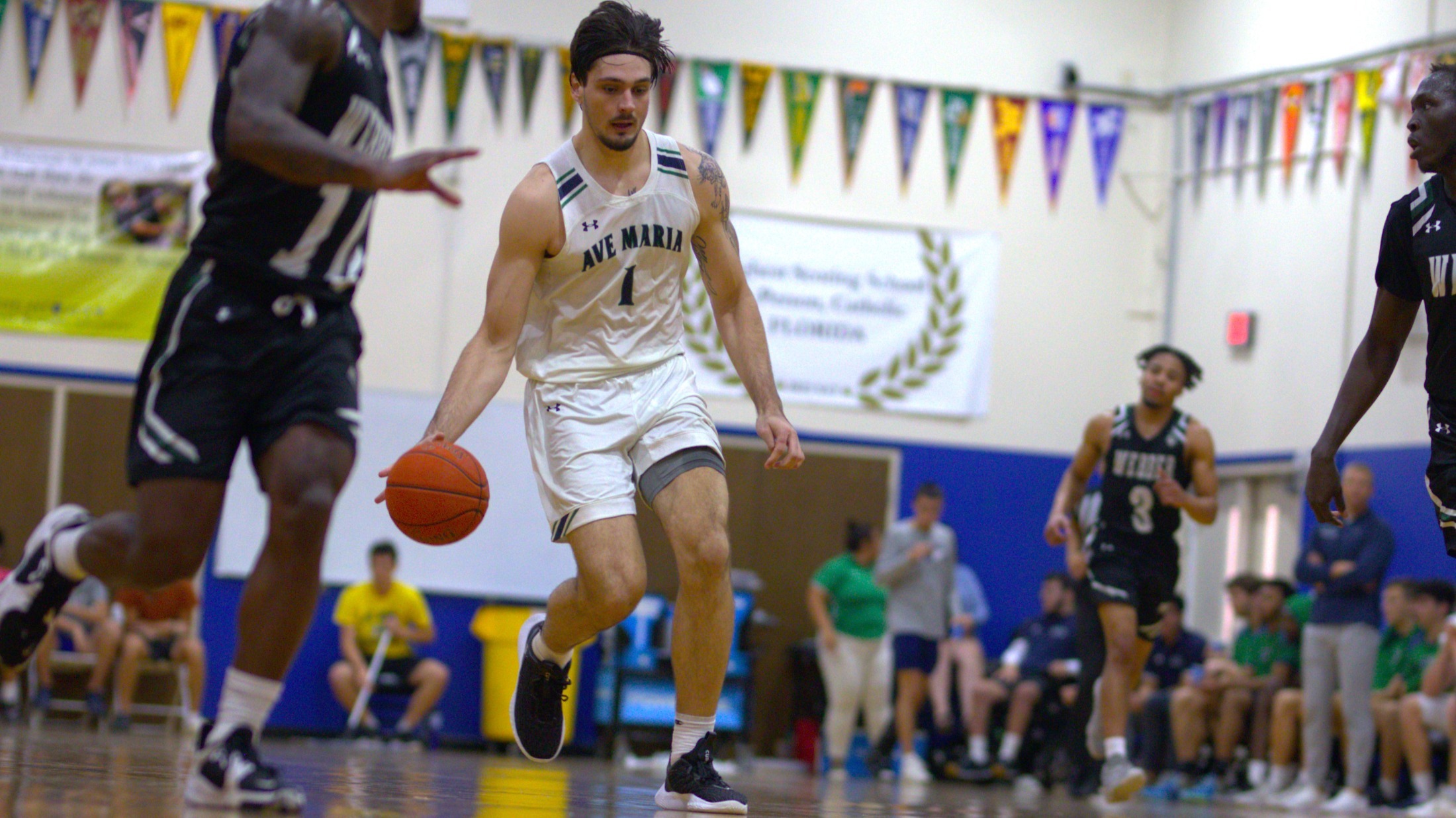 Klajd Kiri - Men's Basketball - Ave Maria University Athletics