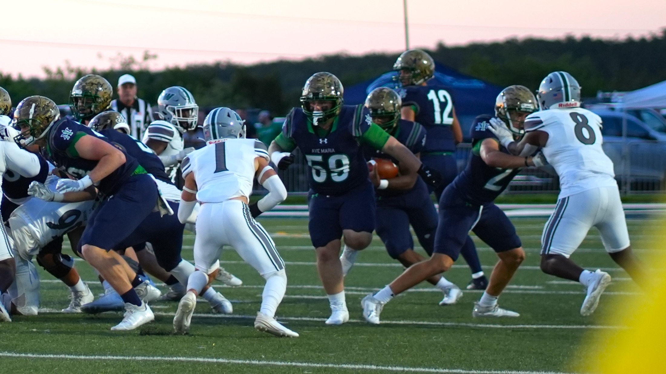 Robert Rinaldi - Football - Ave Maria University Athletics