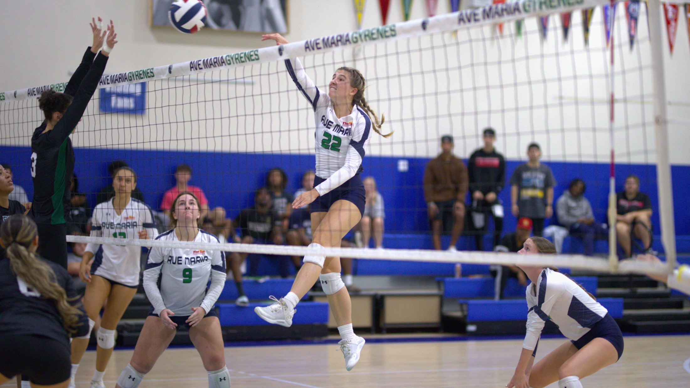 Alayna Metherd - Volleyball - Ave Maria University Athletics