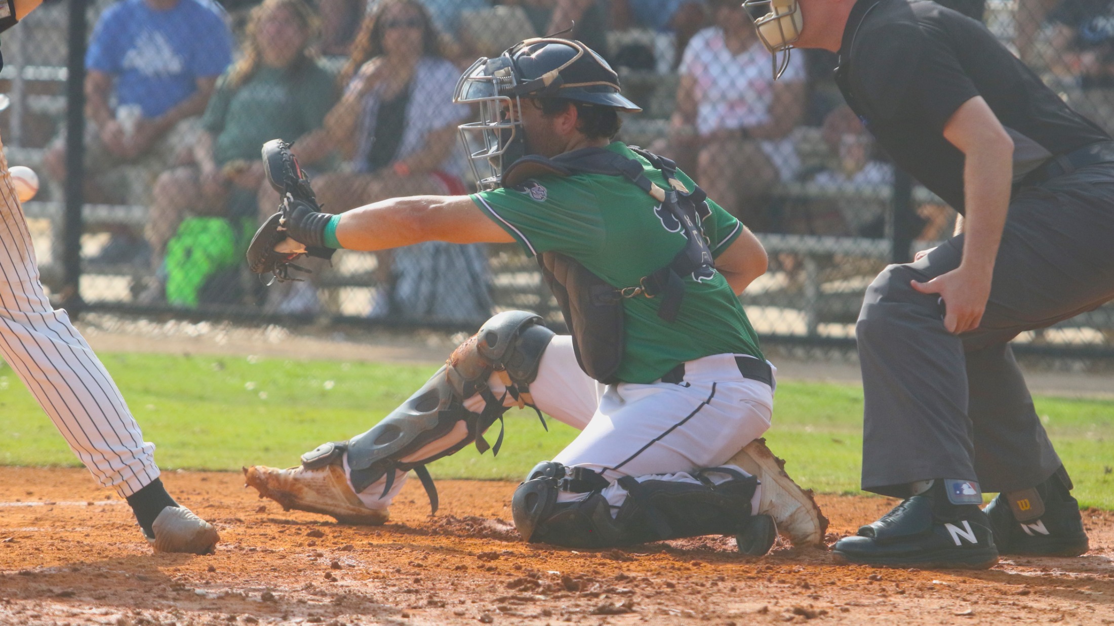 Michael Signorelli - Baseball - Ave Maria University Athletics