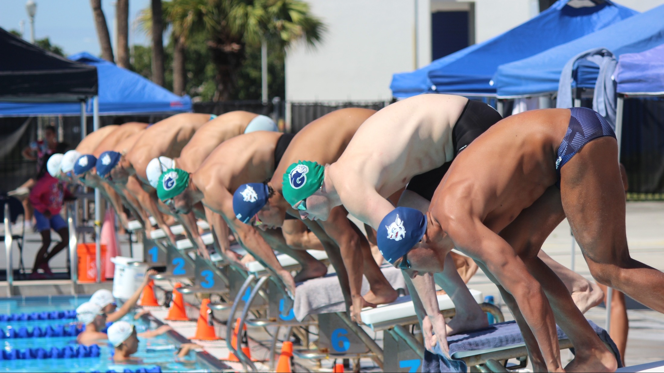 Swim Breaks Two More School Records in Shark Invite - Ave Maria ...