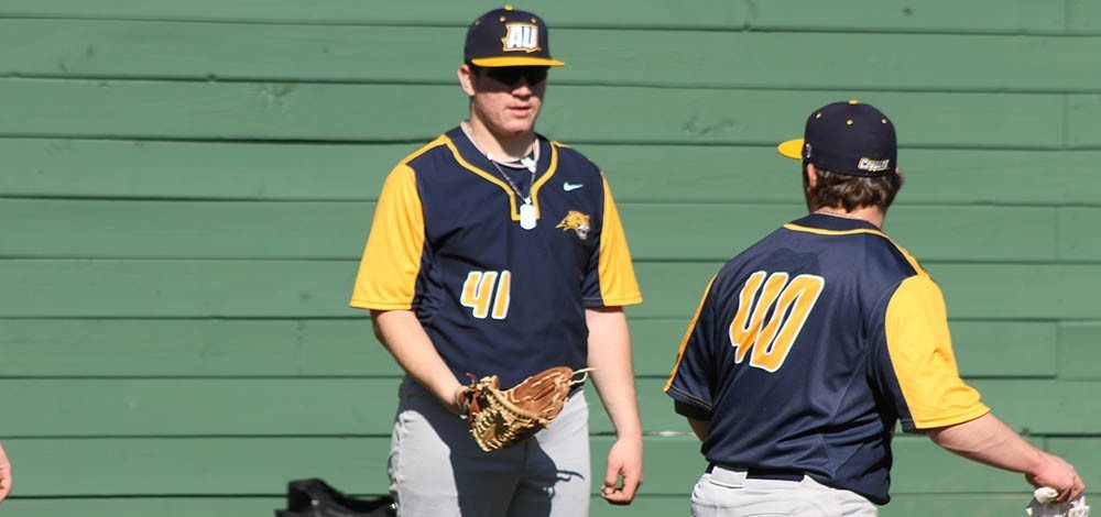 Cody Johnson - 2017 - Baseball - Averett University Athletics