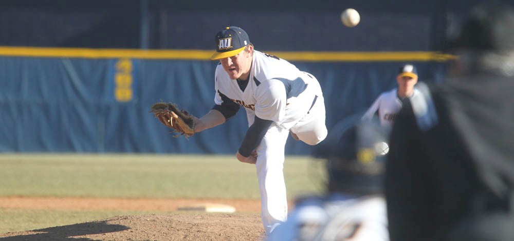 Cody Johnson - 2017 - Baseball - Averett University Athletics