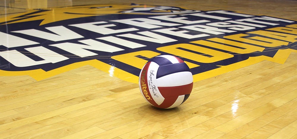 Jordan Pitzer - 2018 - Women's Volleyball - Averett University Athletics