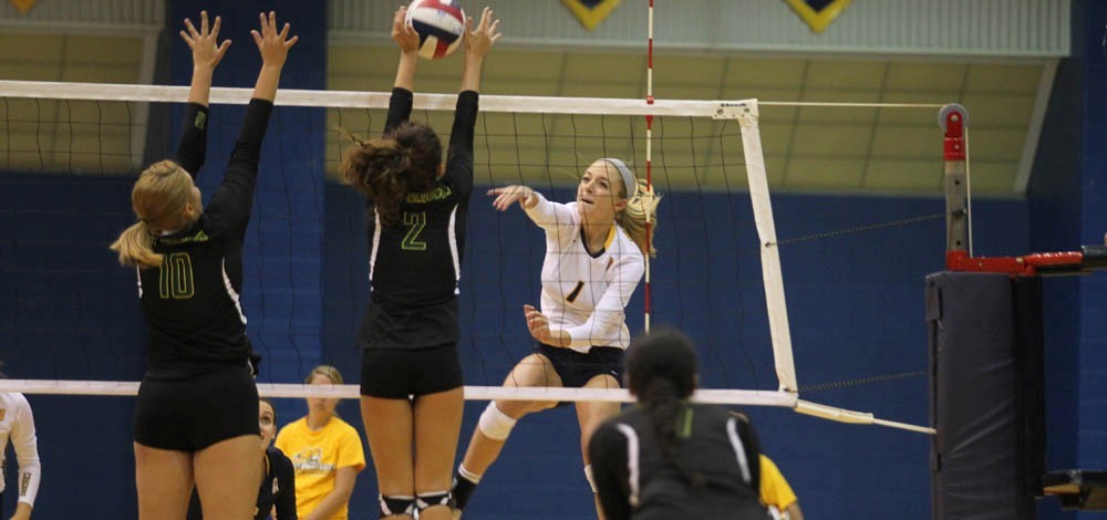 Jordan Pitzer - 2018 - Women's Volleyball - Averett University Athletics
