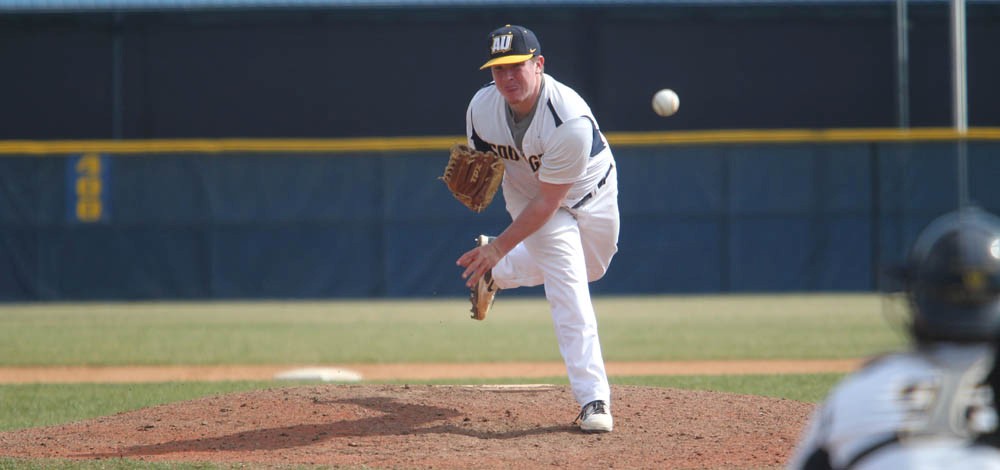 Cody Johnson - 2017 - Baseball - Averett University Athletics