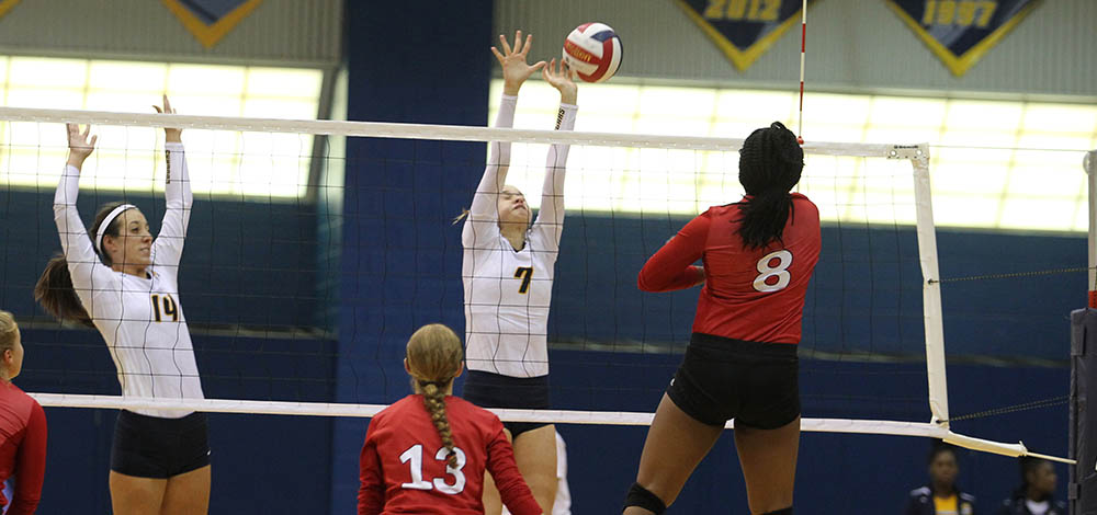 Sarah Smoot - 2017 - Women's Volleyball - Averett University Athletics