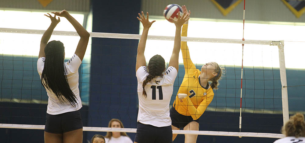 Sarah Smoot - 2017 - Women's Volleyball - Averett University Athletics