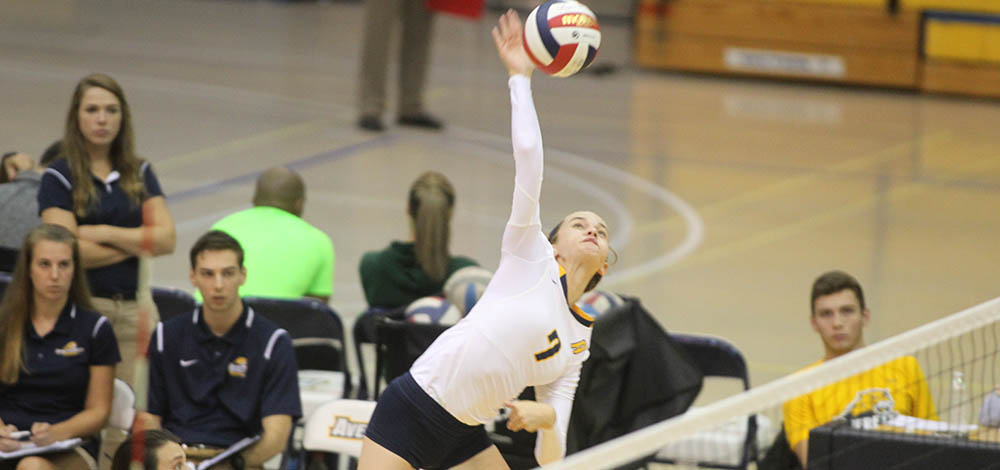 Sarah Smoot - 2017 - Women's Volleyball - Averett University Athletics