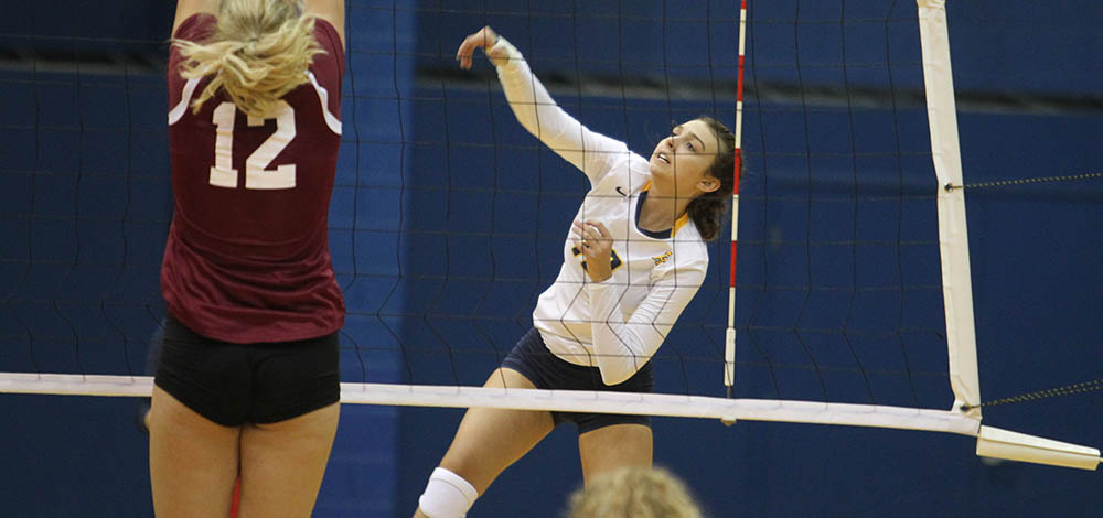 Brooke Aaron - 2018 - Women's Volleyball - Averett University Athletics