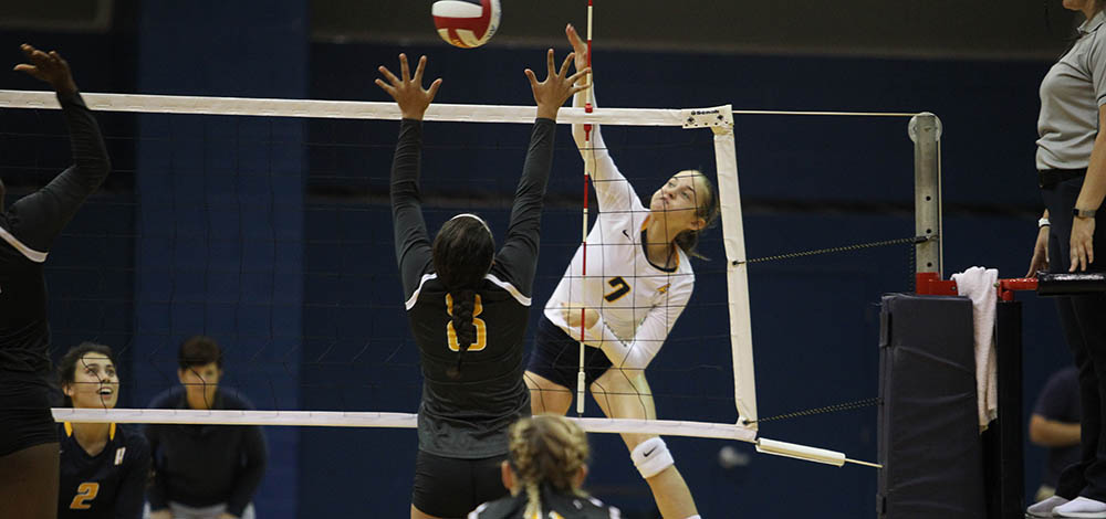 Sarah Smoot - 2017 - Women's Volleyball - Averett University Athletics