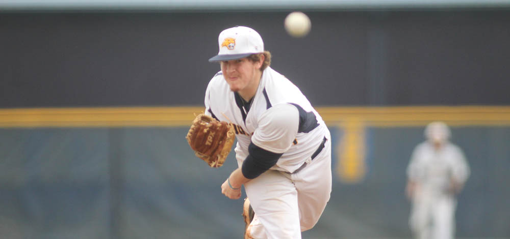 Cody Johnson - 2017 - Baseball - Averett University Athletics