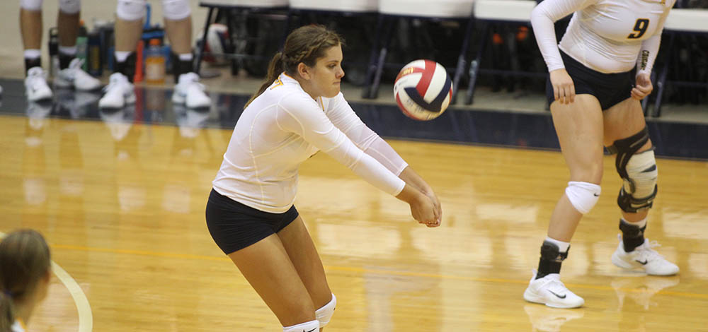 Hannah Shields - 2017 - Women's Volleyball - Averett University Athletics