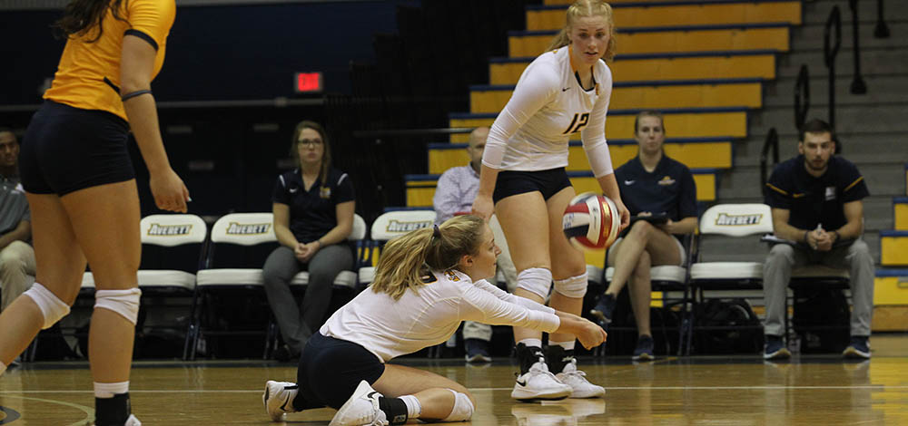 Jordan Pitzer - 2018 - Women's Volleyball - Averett University Athletics
