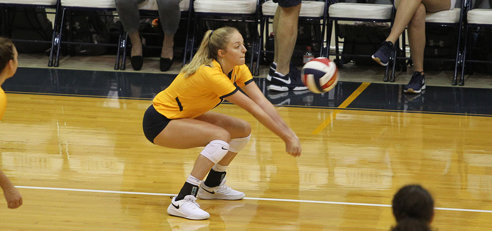 Jordan Pitzer - 2018 - Women's Volleyball - Averett University Athletics