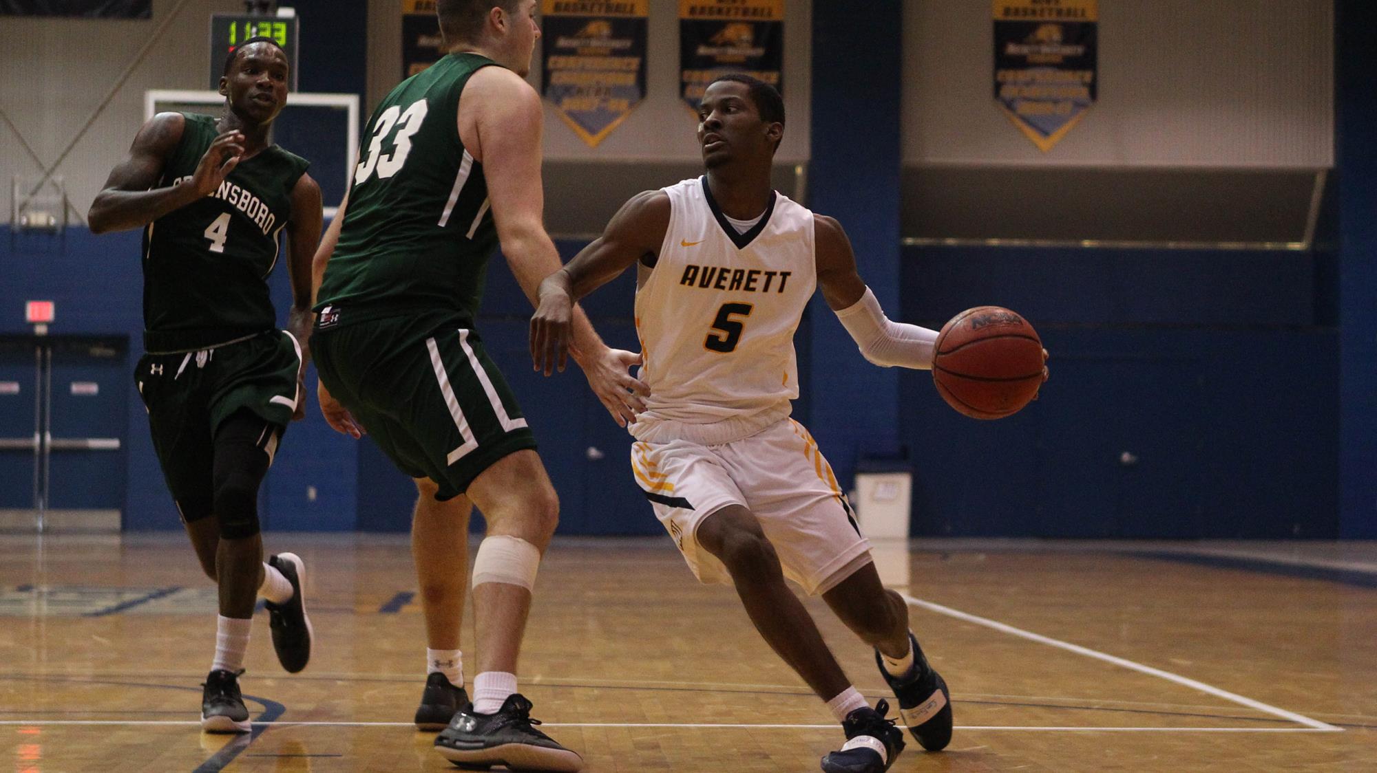 T.J. McAllister - 2018-19 - Men's Basketball - Averett University Athletics