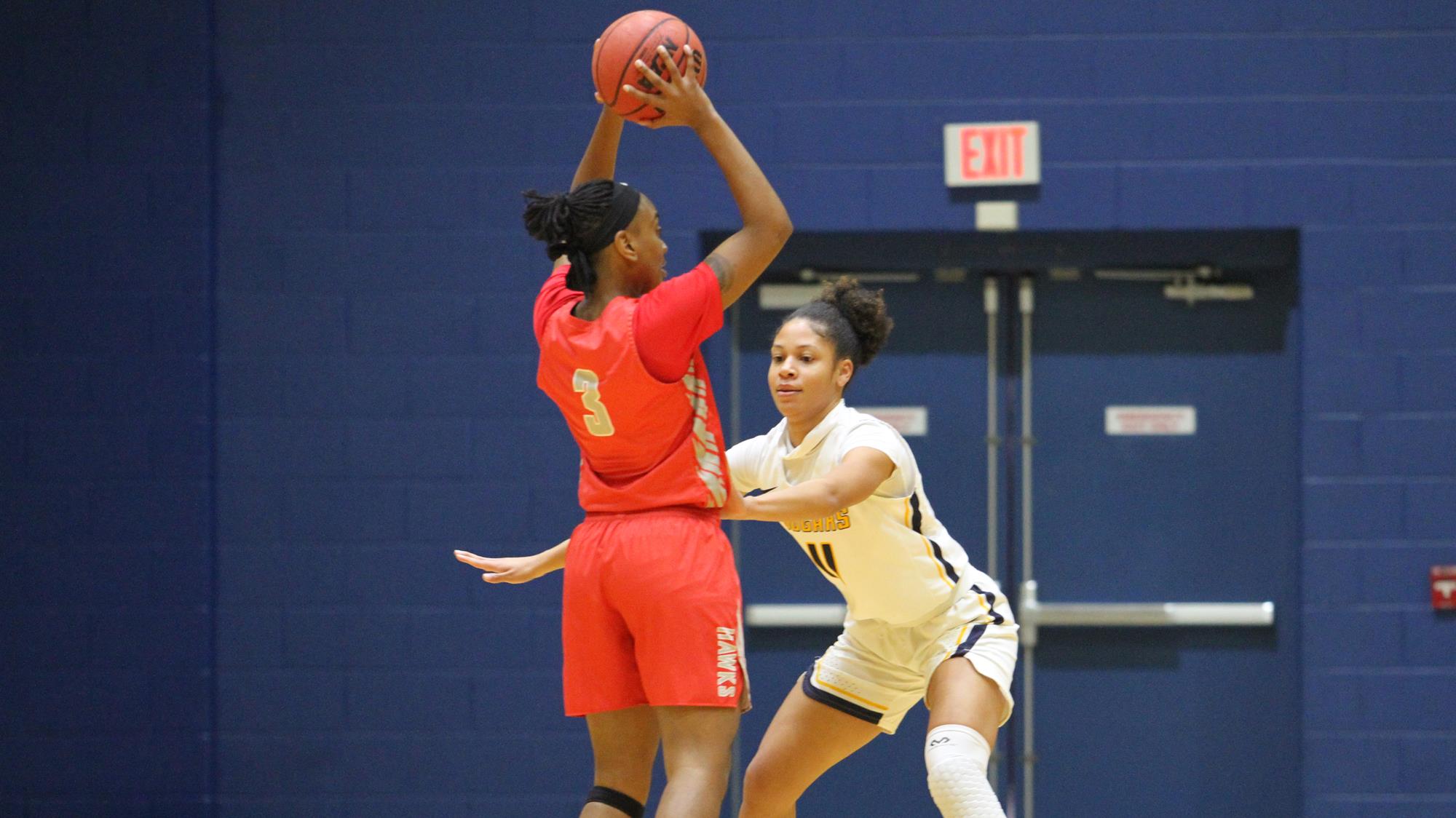 Ravyn Johnson - 2019-20 - Women's Basketball - Averett University Athletics