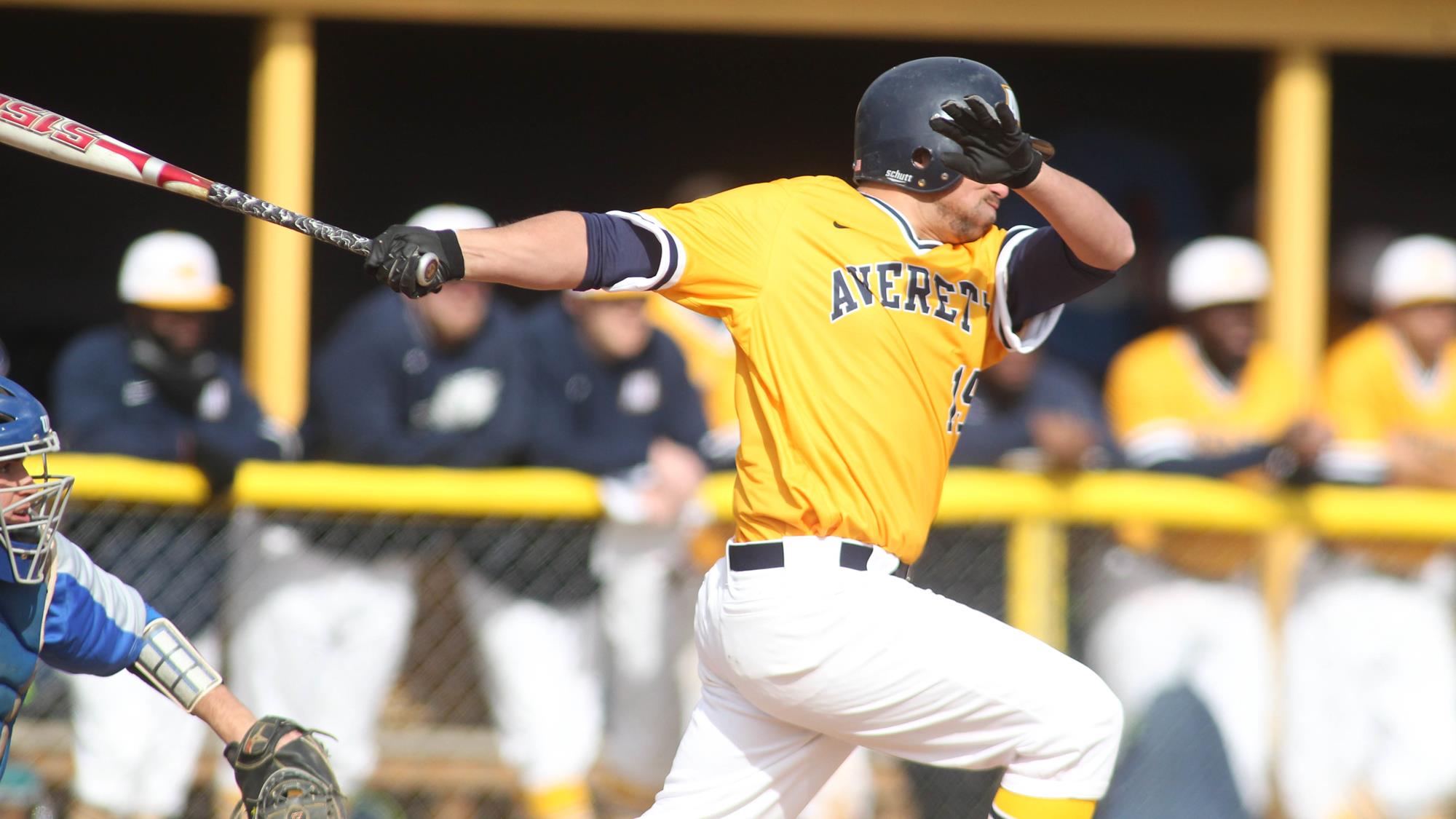 Dante George - 2020 - Baseball - Averett University Athletics