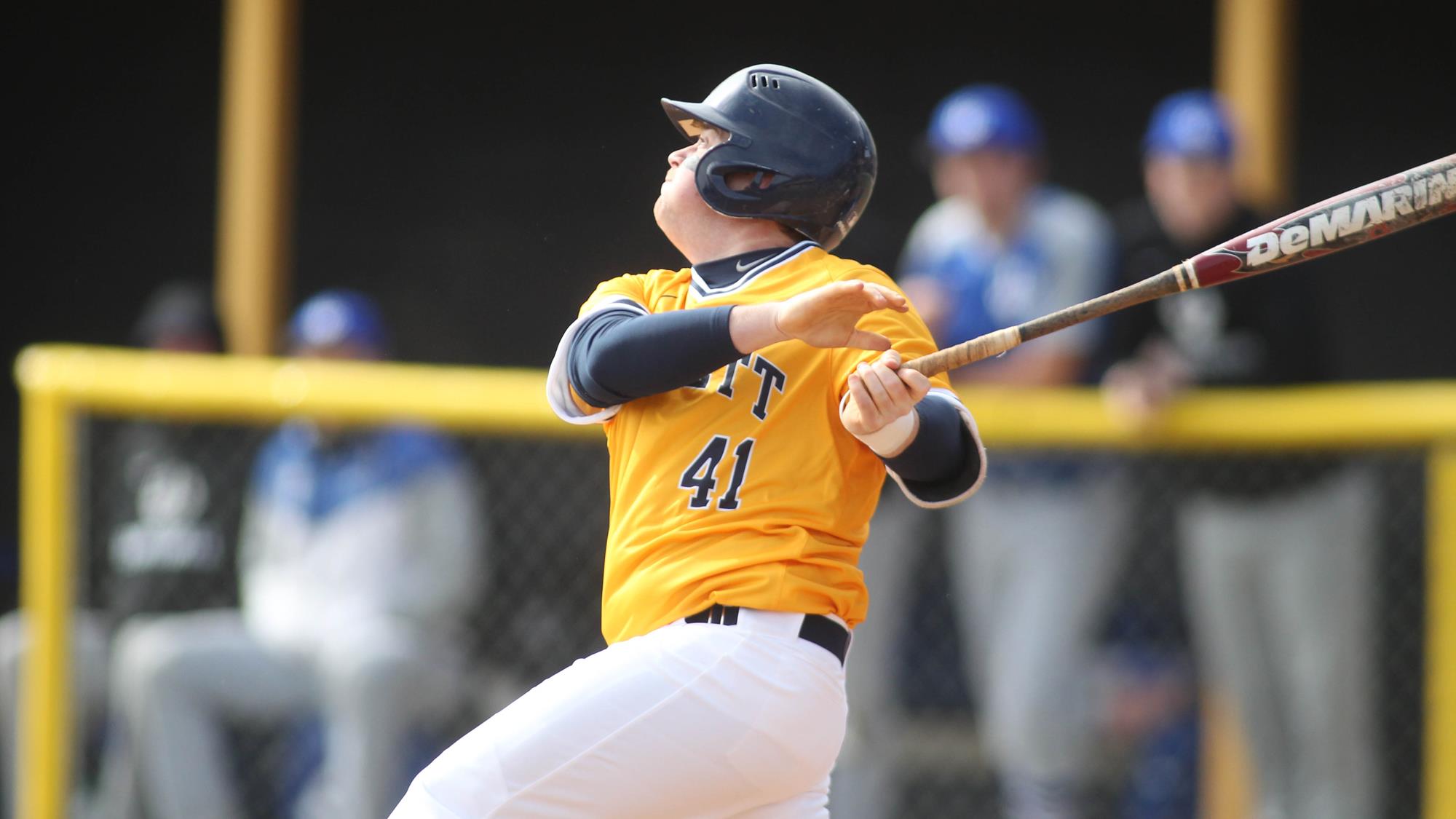 Cody Jones - 2020 - Baseball - Averett University Athletics