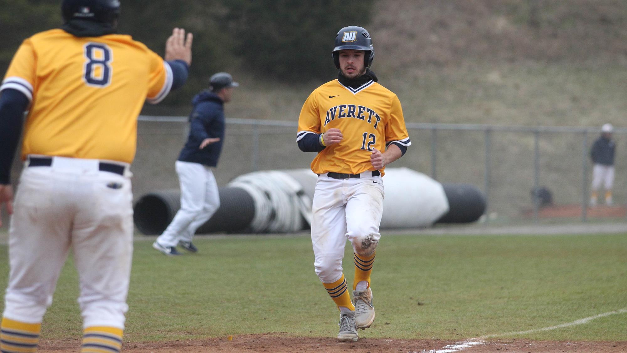Nick Winston - 2020 - Baseball - Averett University Athletics