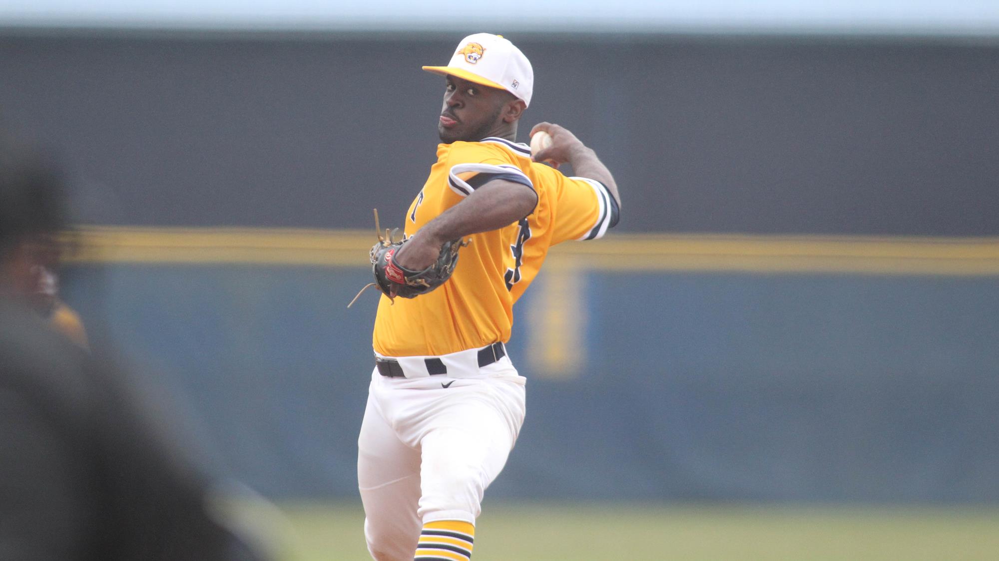 Tyler Butler - 2019 - Baseball - Averett University Athletics