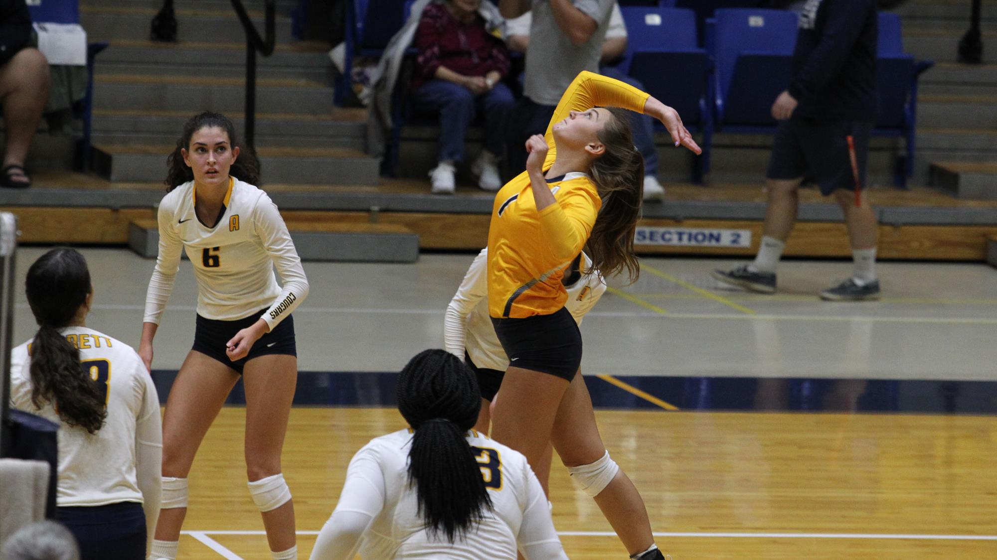 Myka Patterson - 2020 - Women's Volleyball - Averett University Athletics