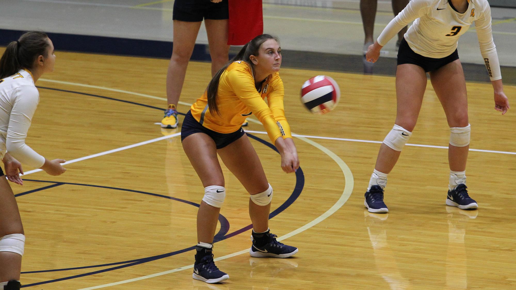 Myka Patterson - 2020 - Women's Volleyball - Averett University Athletics