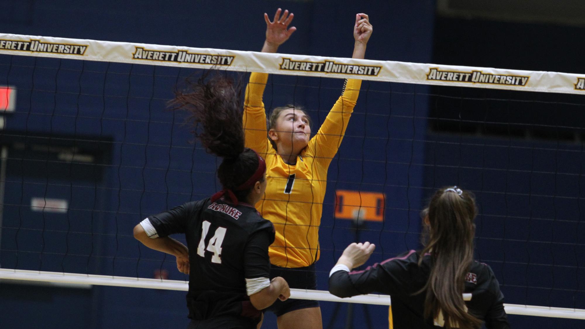 Myka Patterson - 2020 - Women's Volleyball - Averett University Athletics